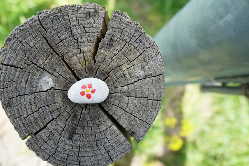 Geur, kleur en geluid – Sjannesblog